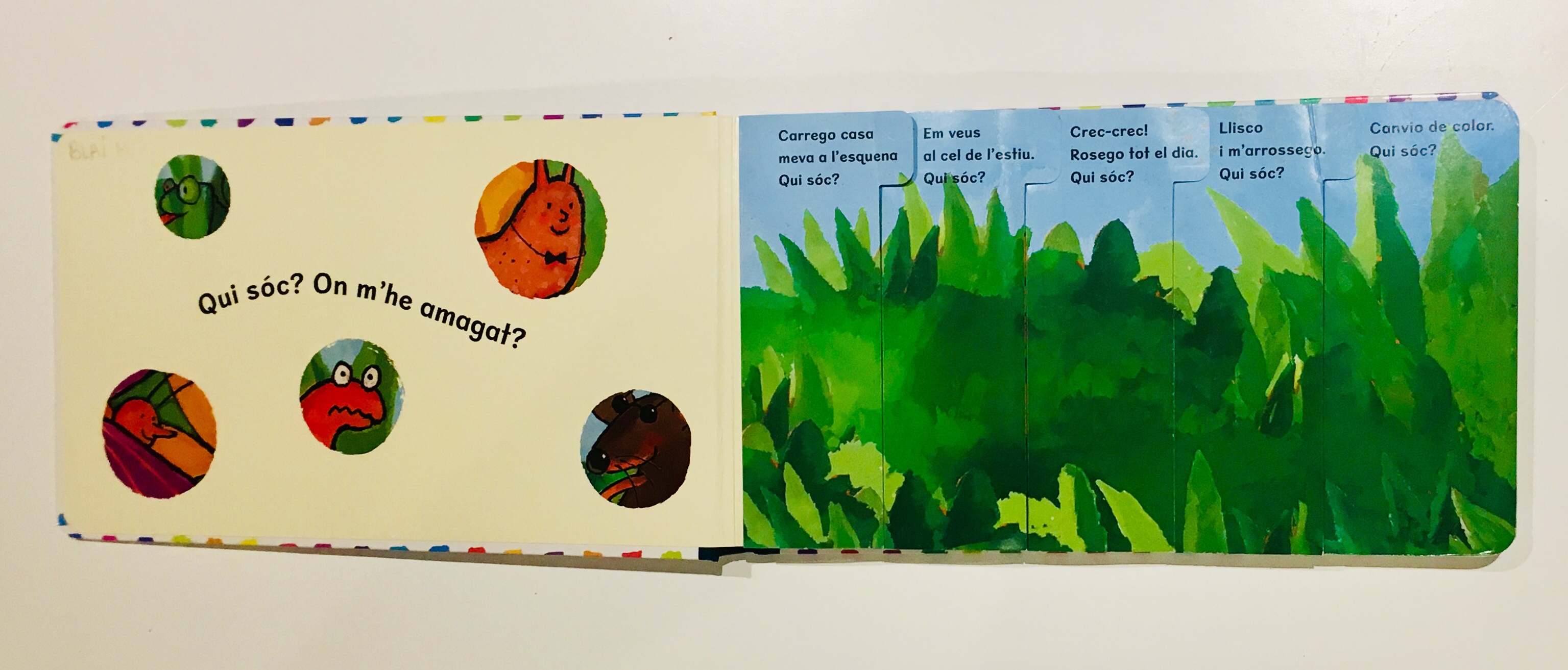 Veo veo, ¿a quién ves? – Cuentos Que Contar