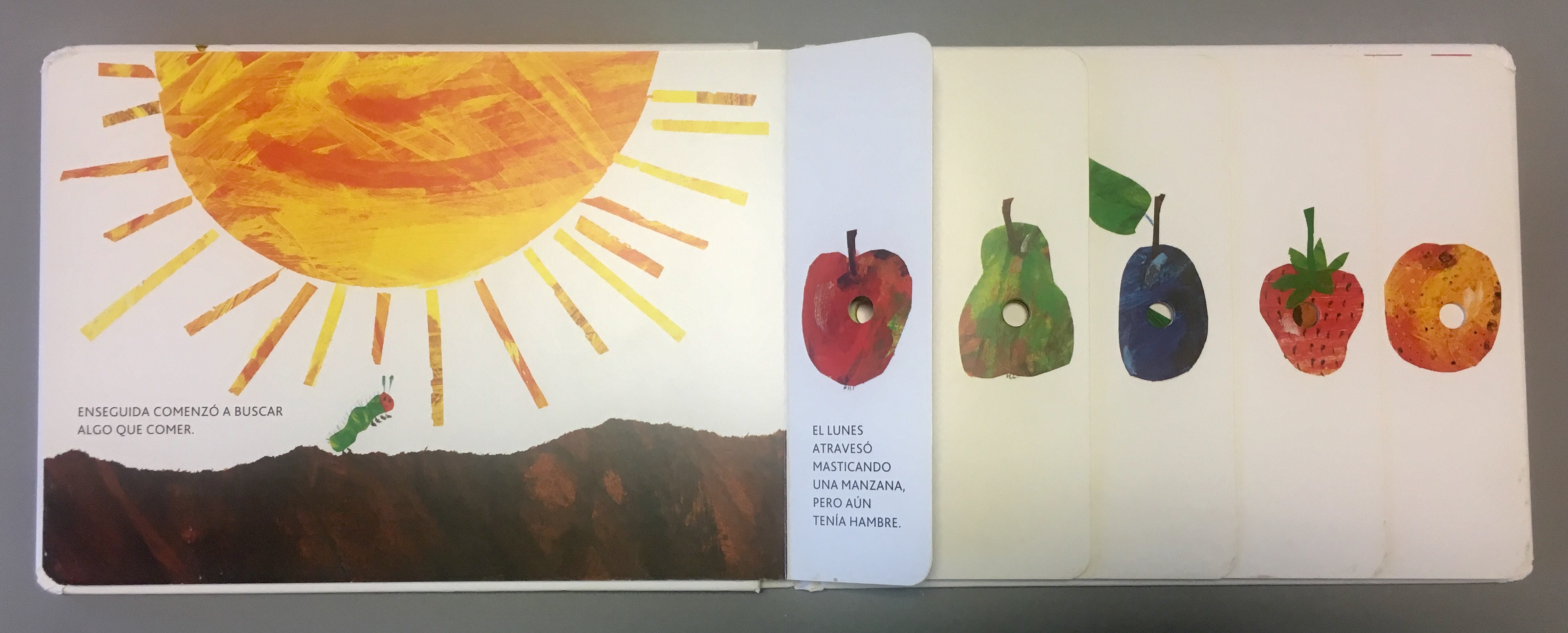 La pequeña oruga glotona – Cuentos Que Contar