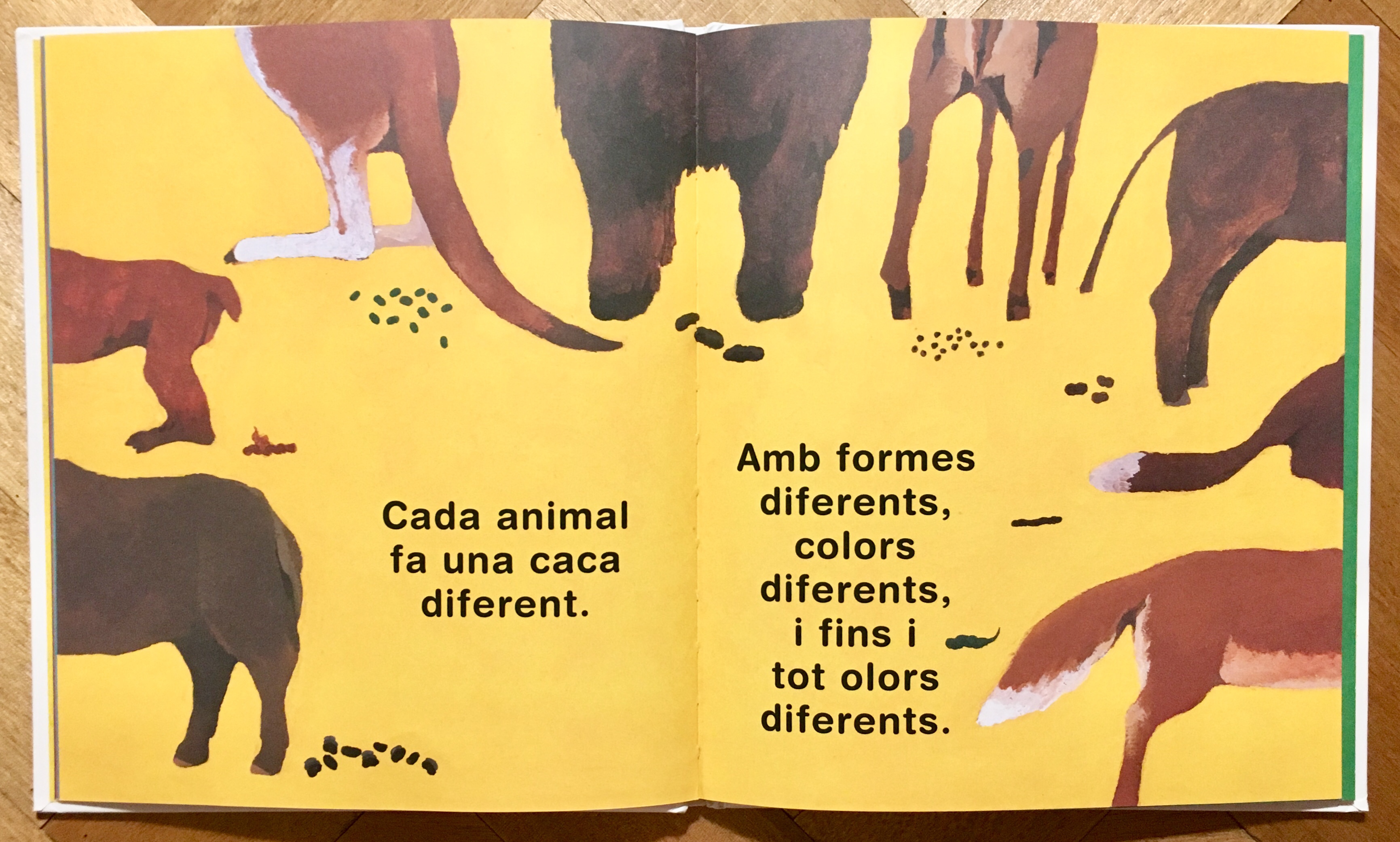 Todos hacemos caca – Cuentos Que Contar