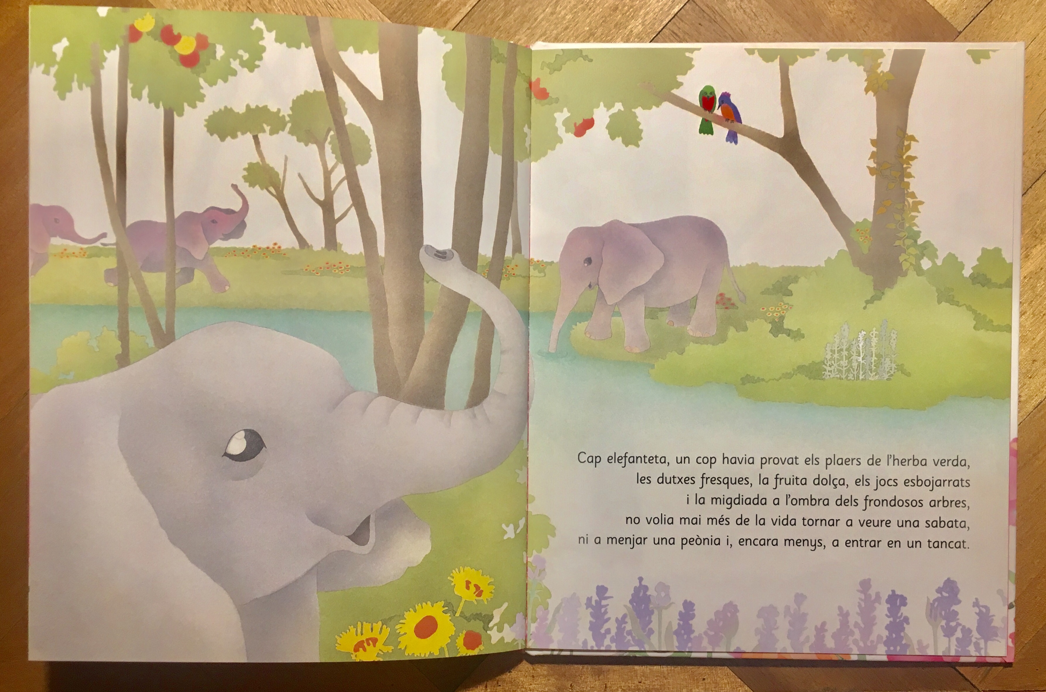 Rosa caramelo – Cuentos Que Contar