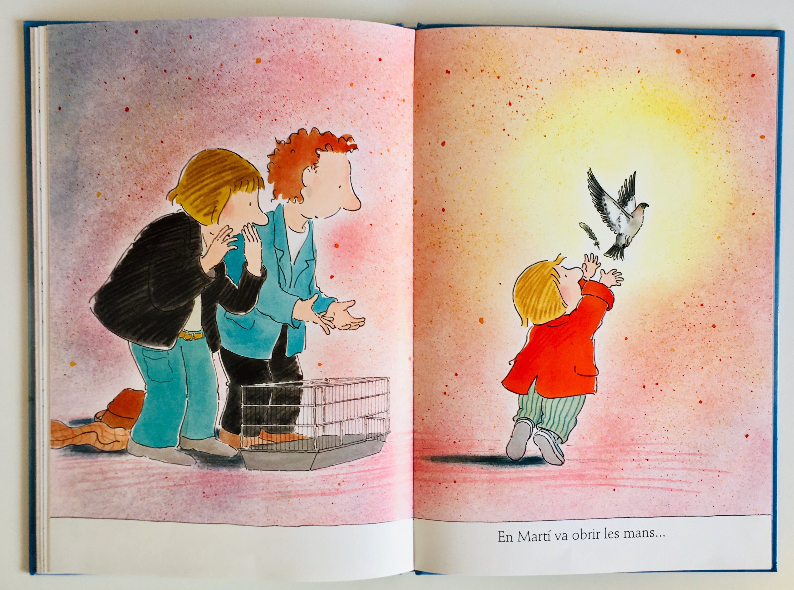 ¿Cómo puede curarse una ala rota? – Cuentos Que Contar