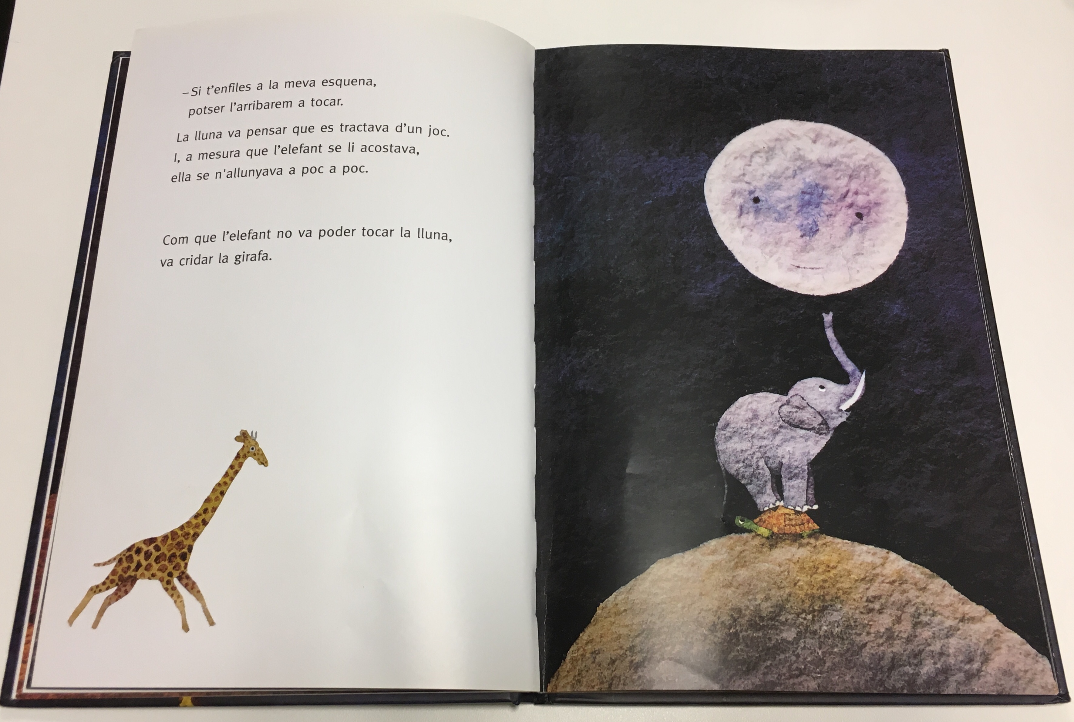¿A qué sabe la luna? – Cuentos Que Contar