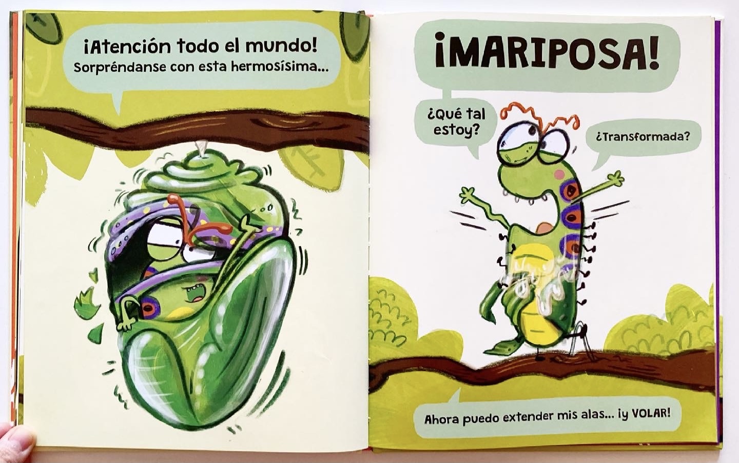 La oruga impaciente – Cuentos Que Contar