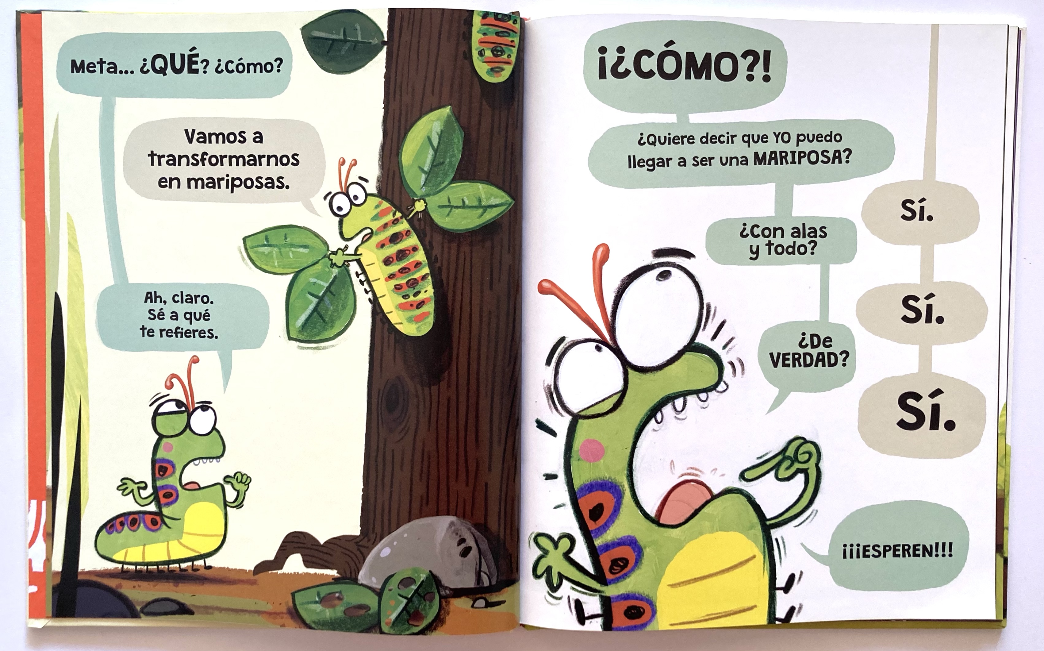 La oruga impaciente – Cuentos Que Contar