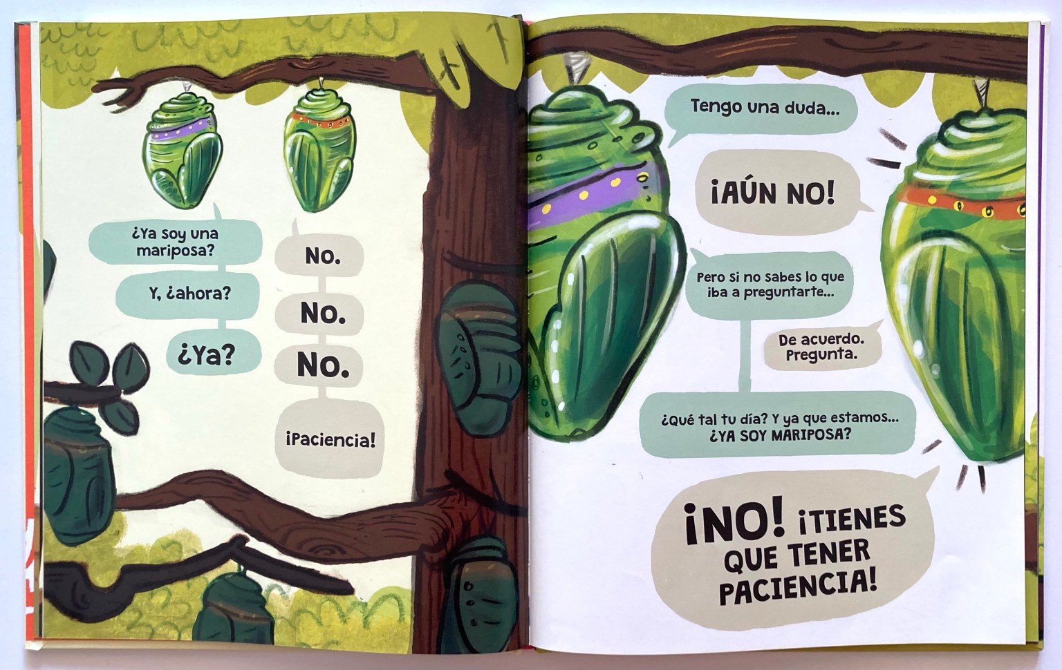 La oruga impaciente – Cuentos Que Contar