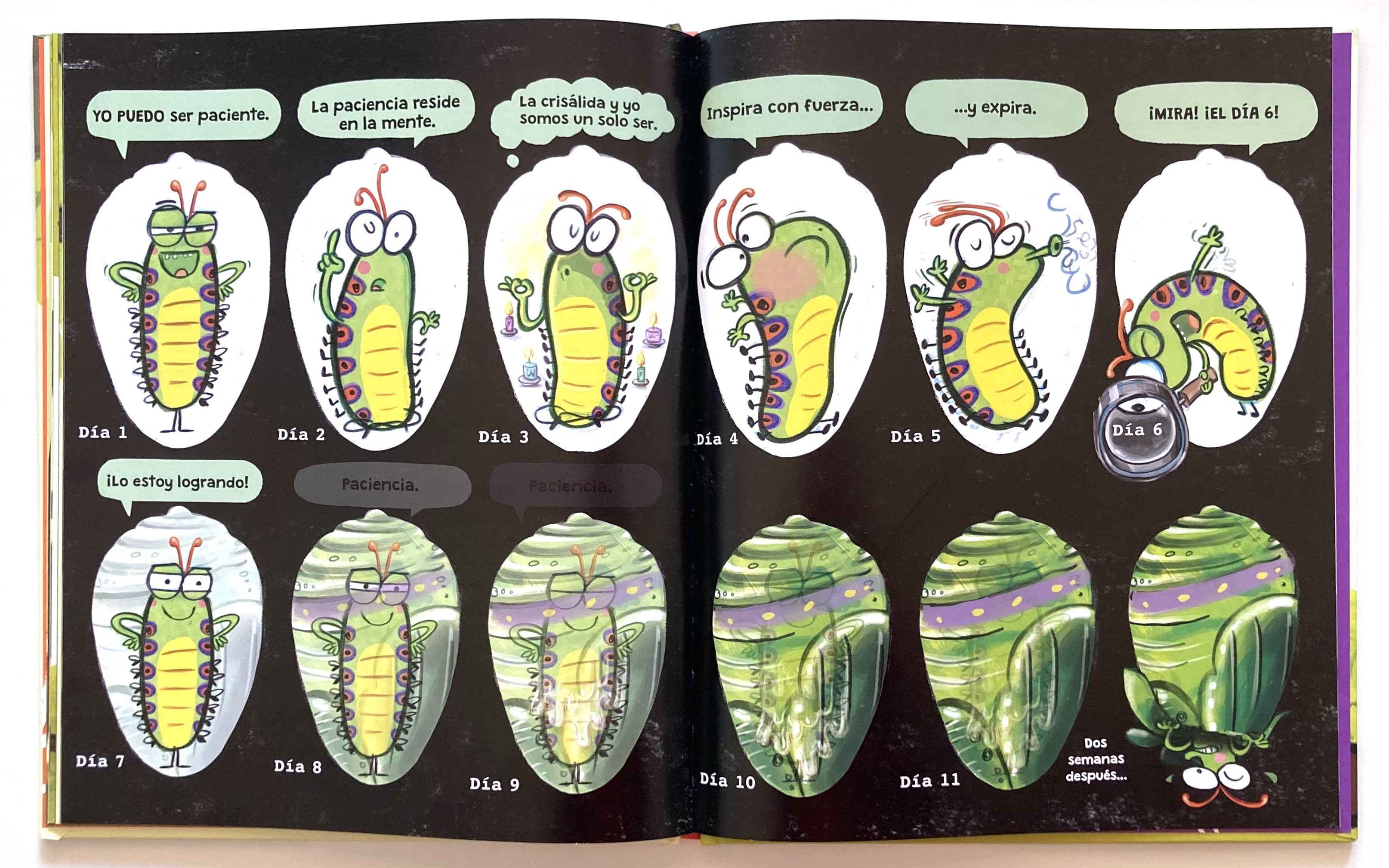 La oruga impaciente – Cuentos Que Contar