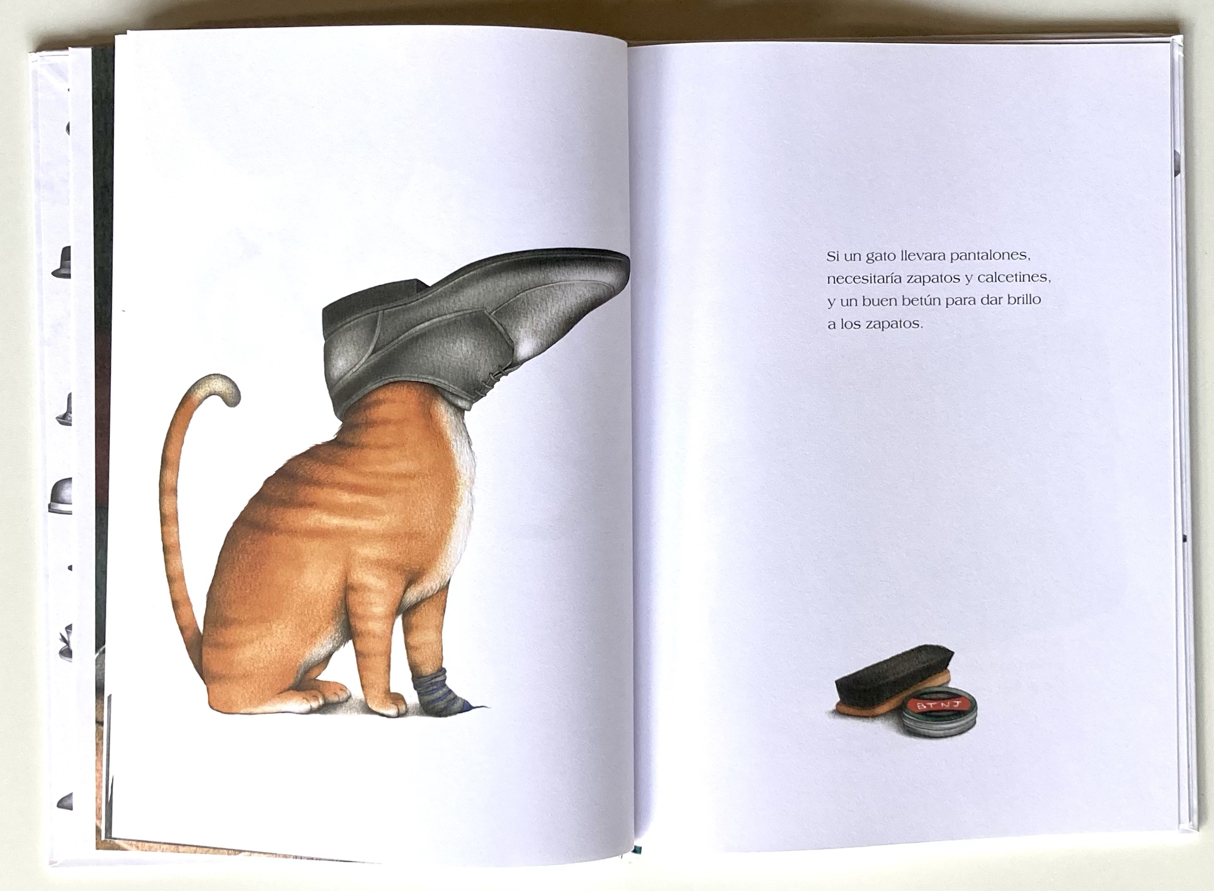 Por qué los gatos no llevan sombrero – Cuentos Que Contar